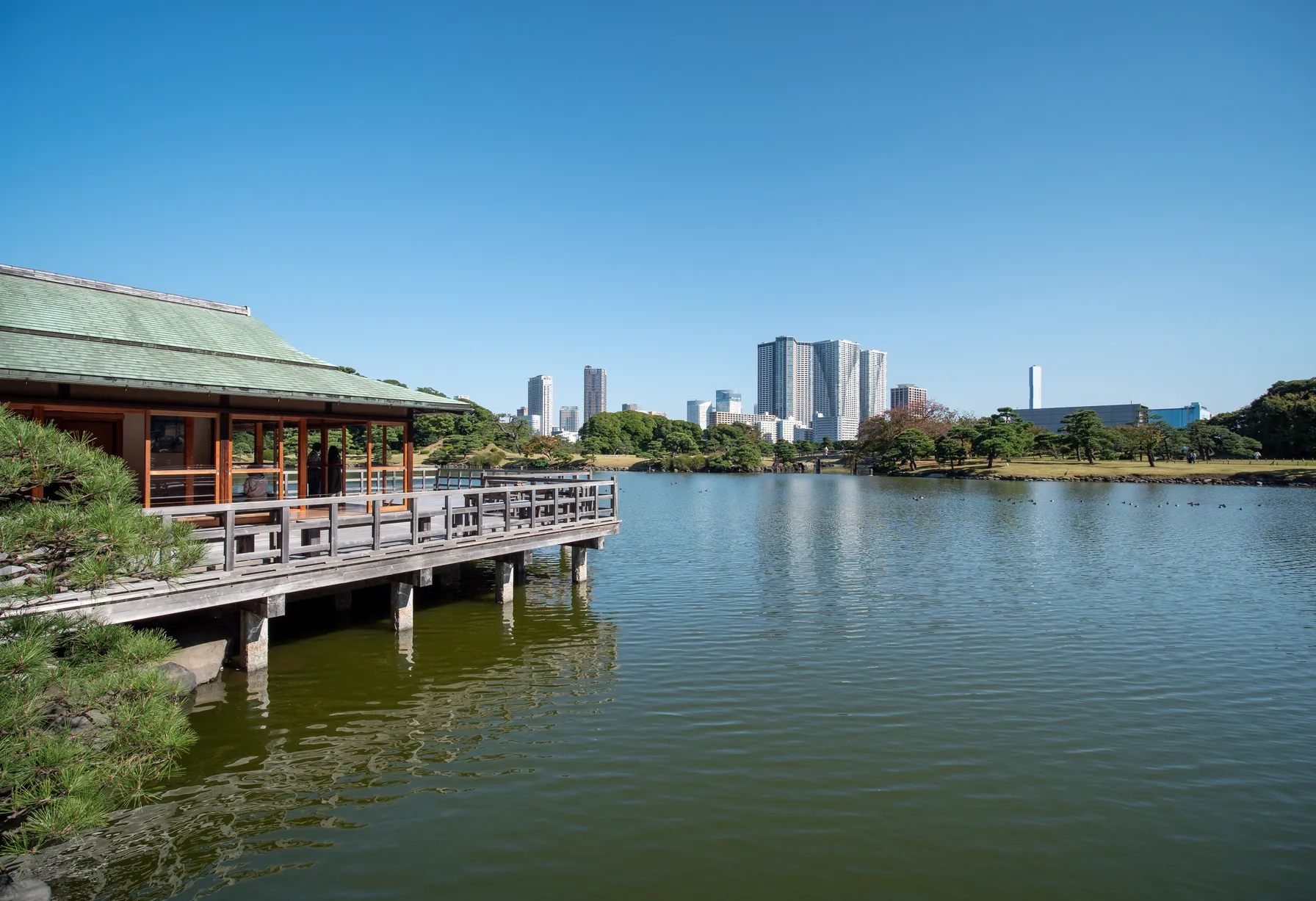 Tokyo in October: weather, activities, and tips | Vialala